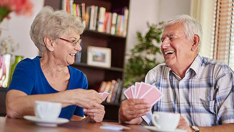 Top 6 EASY Memory Games For Seniors To Enjoy Top 6 EASY Memory Games For Seniors To Enjoy